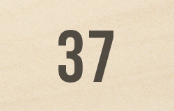 Buy Shoes For Women Online In Dubai, Abu Dhabi, UAE | 6thStreet